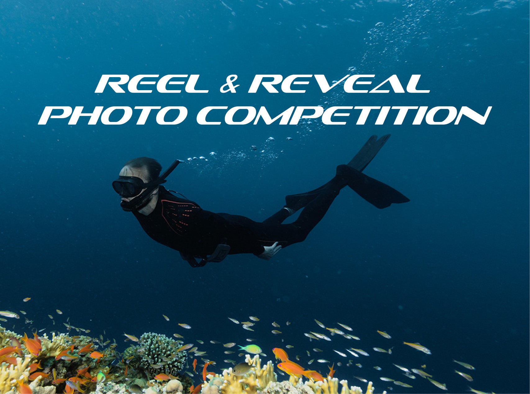 Affordable Spearfishing & Freediving Gear for NZ Waters | Divetech NZ – DivetechNZ