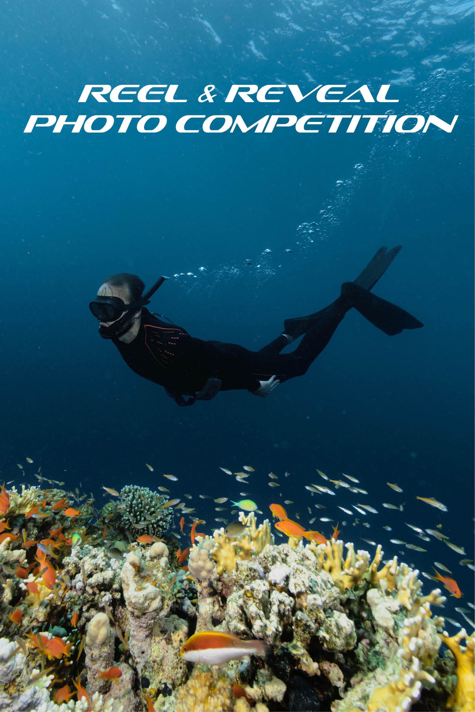 Affordable Spearfishing & Freediving Gear for NZ Waters | Divetech NZ ...